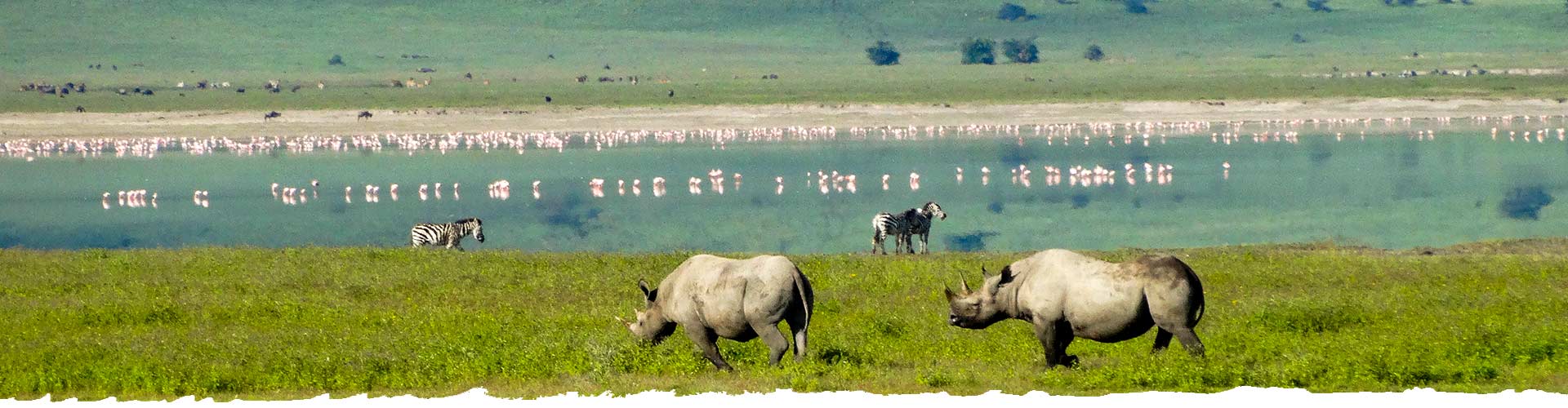 Essentiële Reisinfo Tanzania | Geschiedenis, Informatie, Visum, Valuta ...